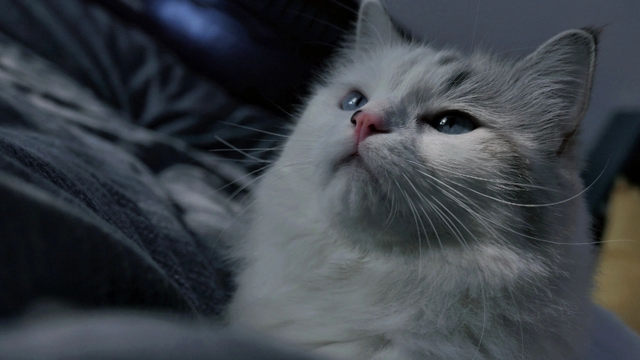 求3.7.1止痛药锐化mod-ODDBA社区